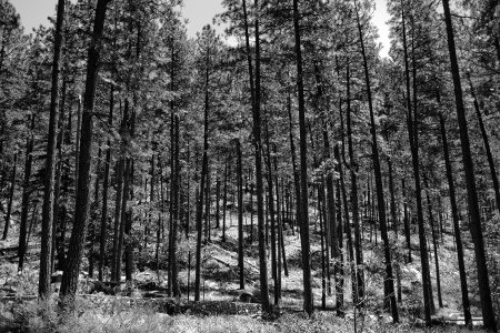 The Leica X1 - Hands on Review, Image Samples, and Comparisons | Steve ...