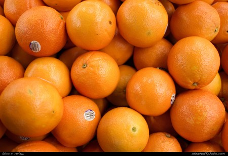 The Leica X1 - Hands on Review, Image Samples, and Comparisons | Steve ...