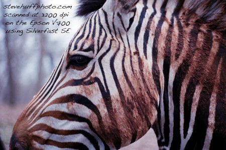 Scanning your film with the Epson V700 Photo Scanner | Steve Huff Hi-Fi ...