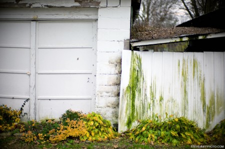 My Portfolio: The Rural Landscape | Steve Huff Hi-Fi and Photo