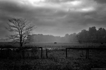 My Portfolio: The Rural Landscape | Steve Huff Hi-Fi and Photo