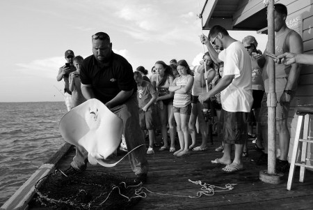 Camera Strangelove or: How I Learned to Stop worrying About the Sensor ...