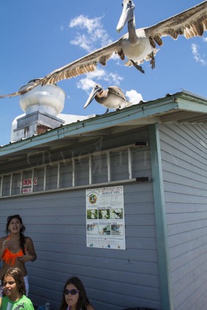 Camera Strangelove or: How I Learned to Stop worrying About the Sensor ...