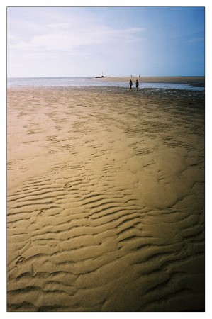 Friday Film: An ode to Agfa Ultra 100 and Goodbye Summer By Ibraar ...