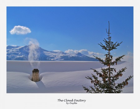 The Olympus OM-D E-M1 VS the rest of the industry by William Rappard ...