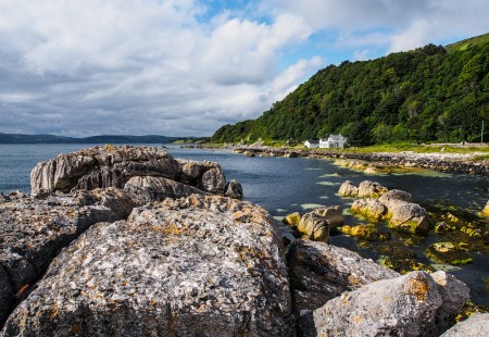 The Olympus OM-D E-M1 VS the rest of the industry by William Rappard ...