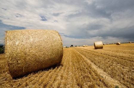 The Olympus OM-D E-M1 VS the rest of the industry by William Rappard ...