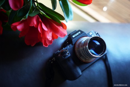 The Sony A7II Real World Camera Review. My Camera of the Year 2014 ...