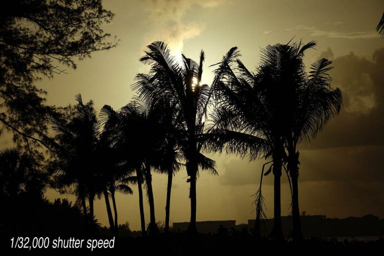 Sony RX10 III: The Swiss Army Knife of Cameras by Craig Litten | Steve ...