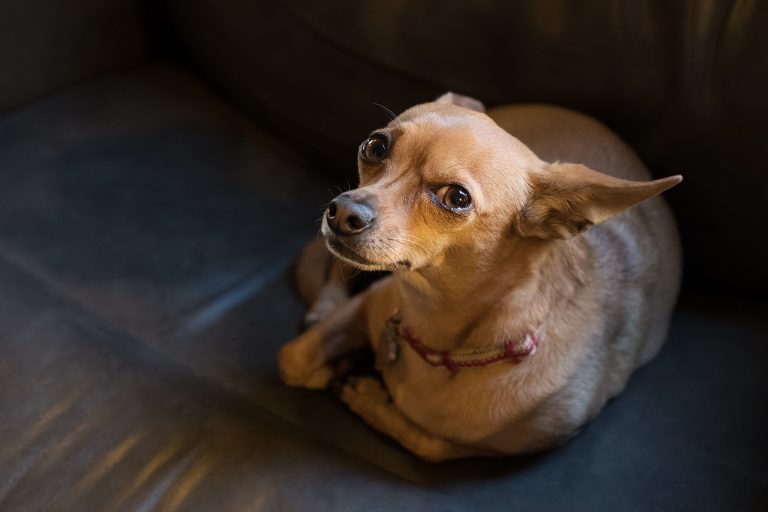 Four days and 20 shots with the Fuji XT2. By Steve Huff | Steve Huff Hi ...