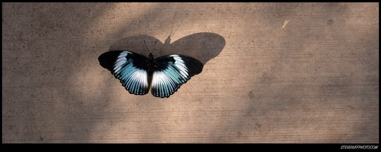 Four days and 20 shots with the Fuji XT2. By Steve Huff | Steve Huff Hi ...