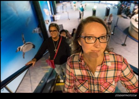 Four days and 20 shots with the Fuji XT2. By Steve Huff | Steve Huff Hi ...