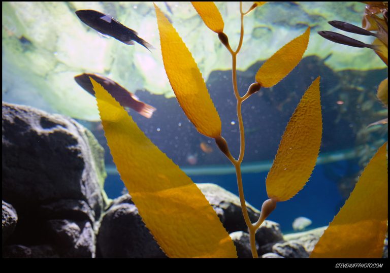 Four days and 20 shots with the Fuji XT2. By Steve Huff | Steve Huff Hi ...