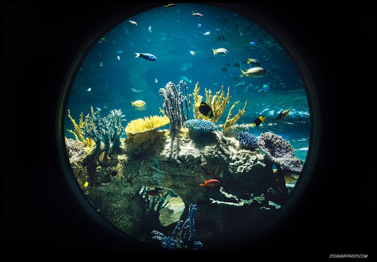 Four days and 20 shots with the Fuji XT2. By Steve Huff | Steve Huff Hi ...