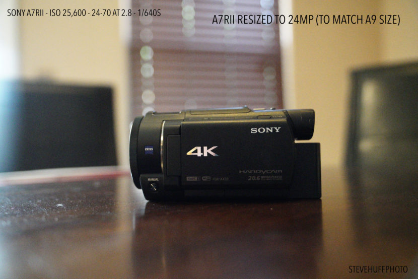 The Sony A9 Camera Review. So much more than an action camera. By Steve ...