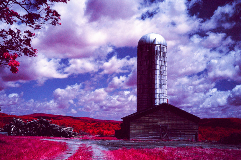 Experimenting with Kodak Aerochrome Color Infrared Film By Alexandra ...