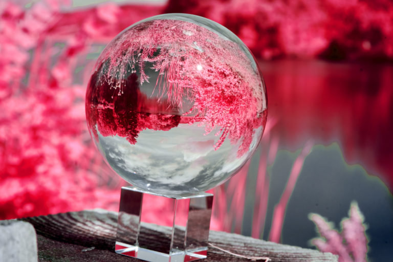 Experimenting with Kodak Aerochrome Color Infrared Film By Alexandra ...