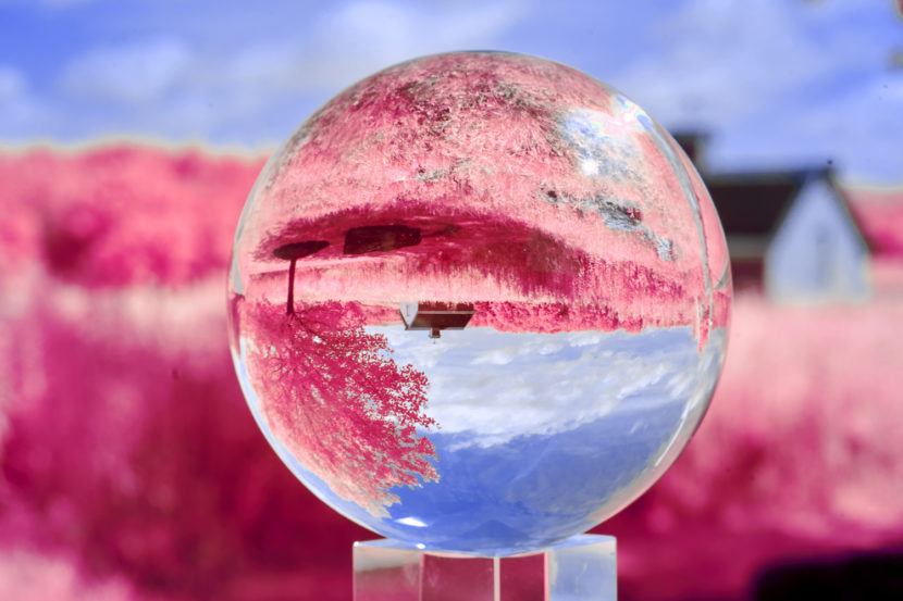 Experimenting with Kodak Aerochrome Color Infrared Film By Alexandra ...