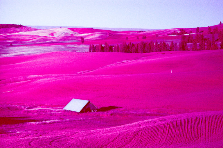 Experimenting with Kodak Aerochrome Color Infrared Film By Alexandra ...