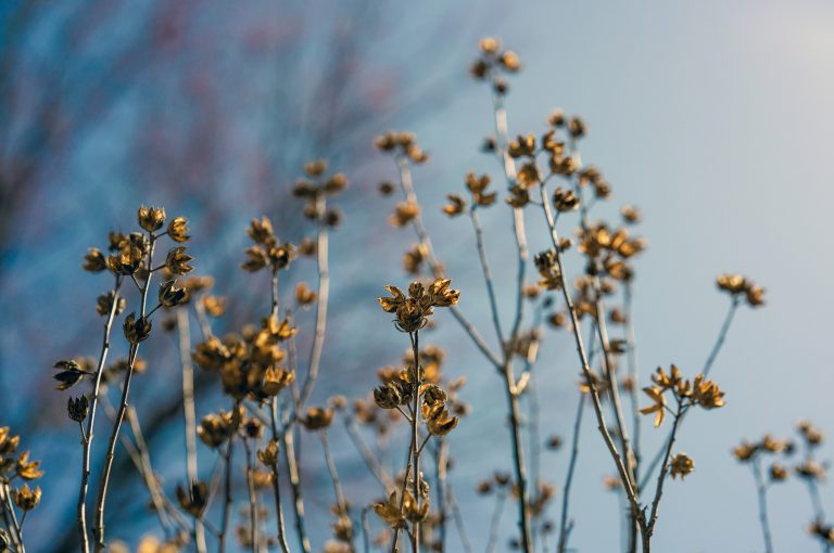 The Sigma fpL Review. Amazing color and capabilities. FULL Video Review ...