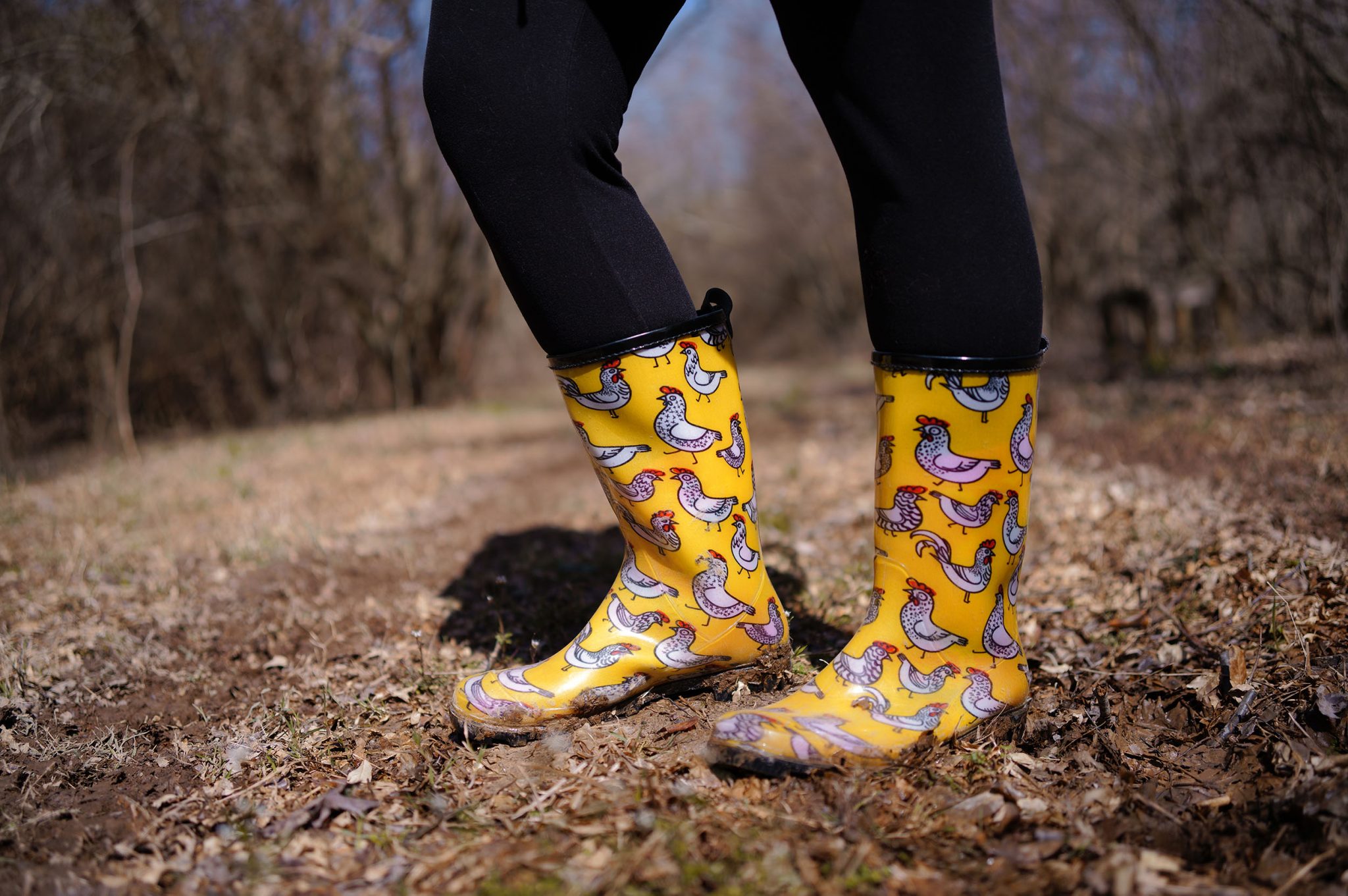 The Sigma fpL Review. Amazing color and capabilities. FULL Video Review ...