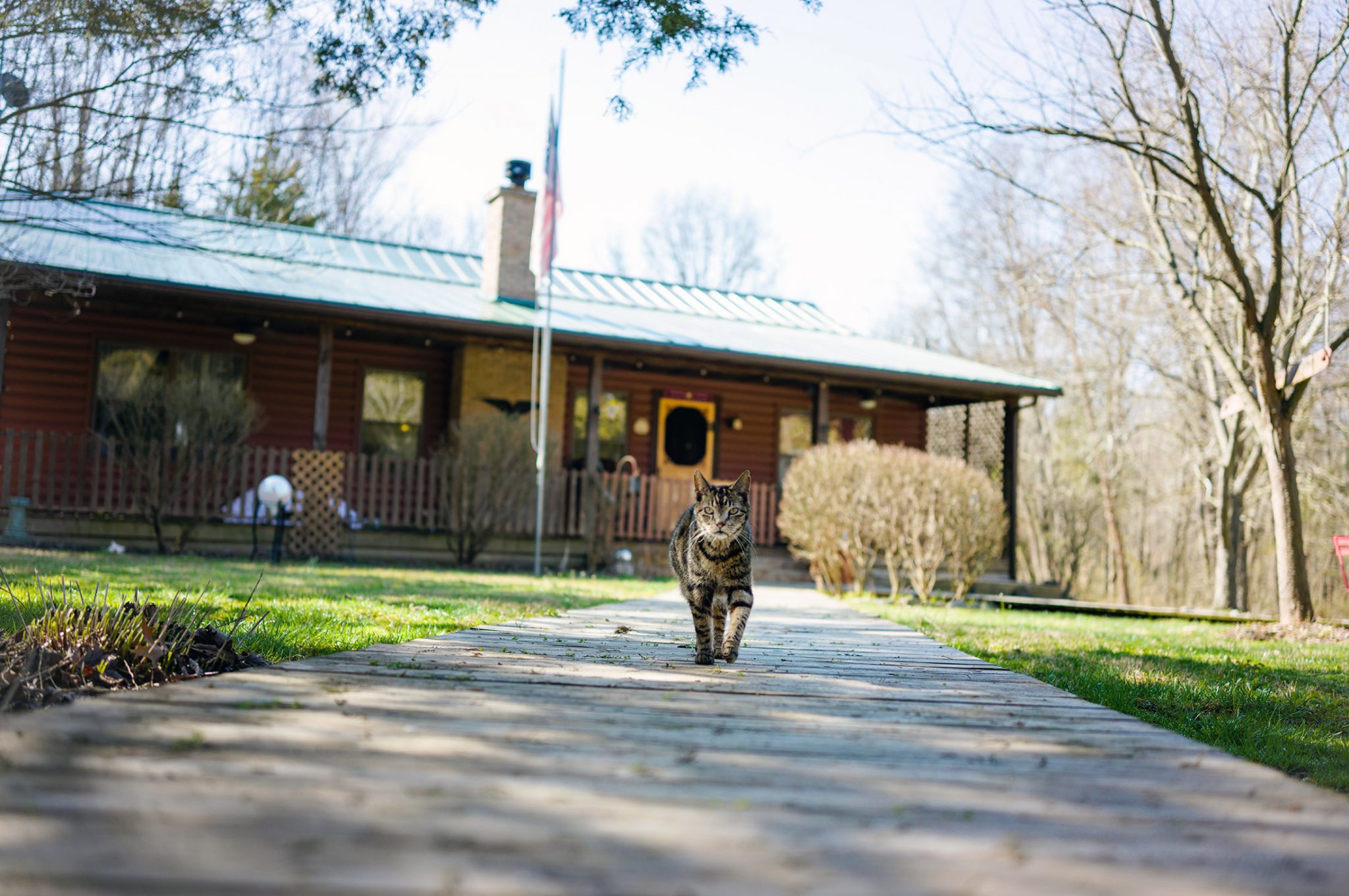 The Sigma fpL Review. Amazing color and capabilities. FULL Video Review ...