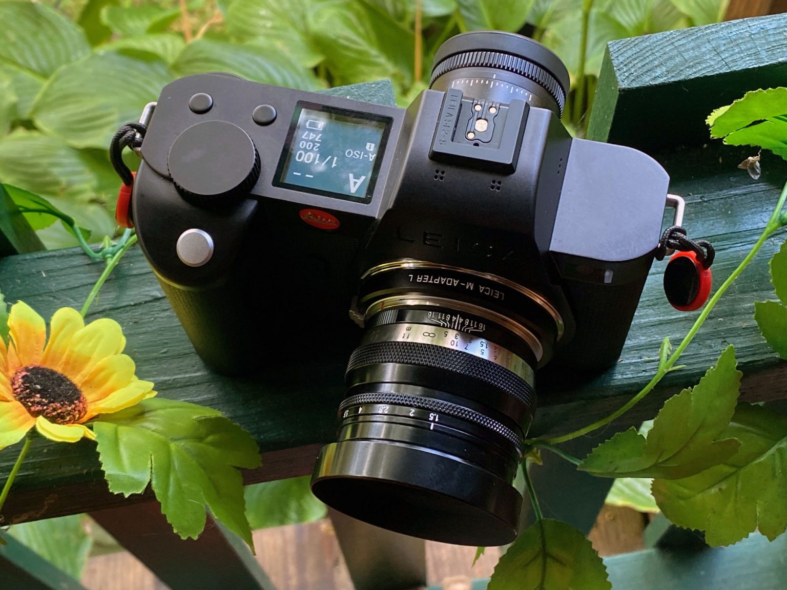 The Voigtlander 50 f/1.5 Heliar Lens Review. The Dream Queen.